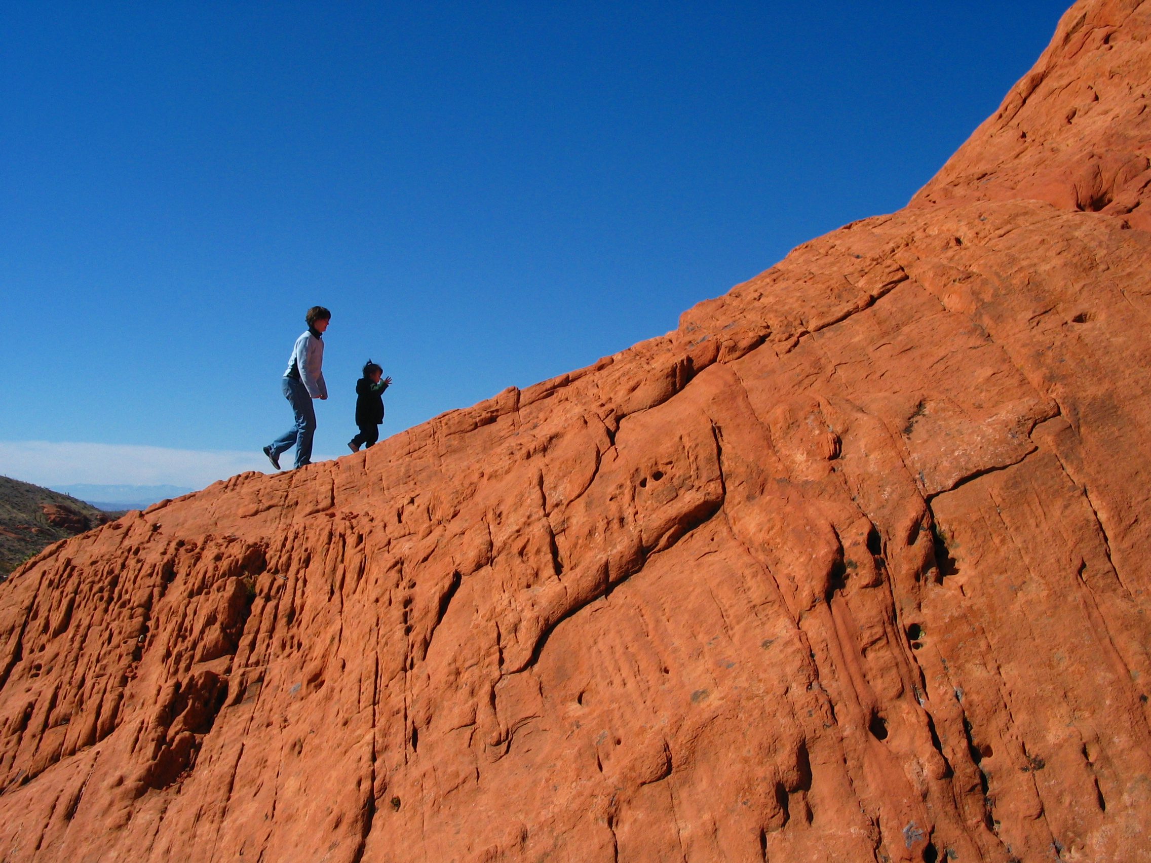 Friends of Gold Butte